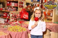 Three Bears General Store - Smoky Mountains Brochures